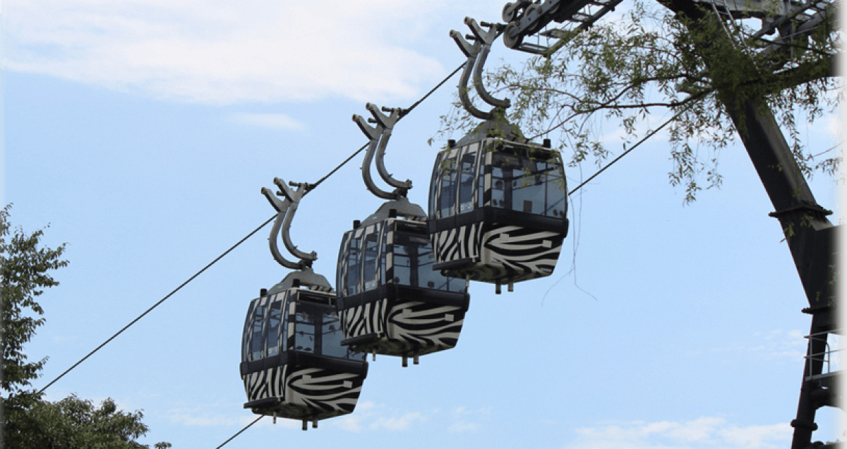 スカイサファリ| キャステル | CASTEL ディズニー情報